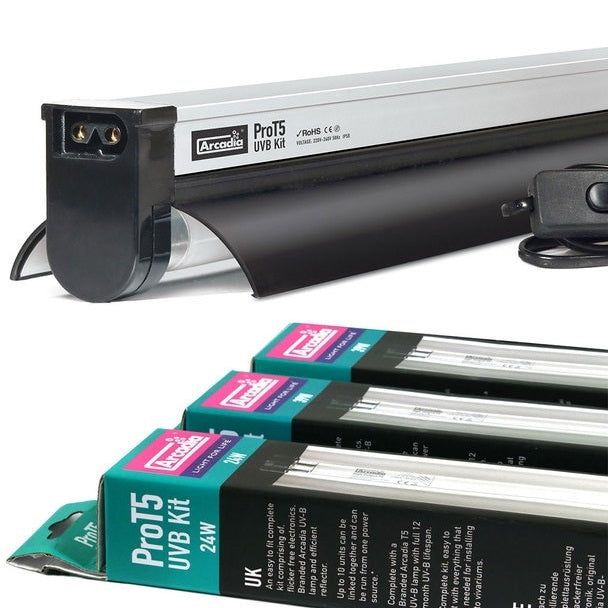 Reptile UVB Lighting – Wilderness Woodend