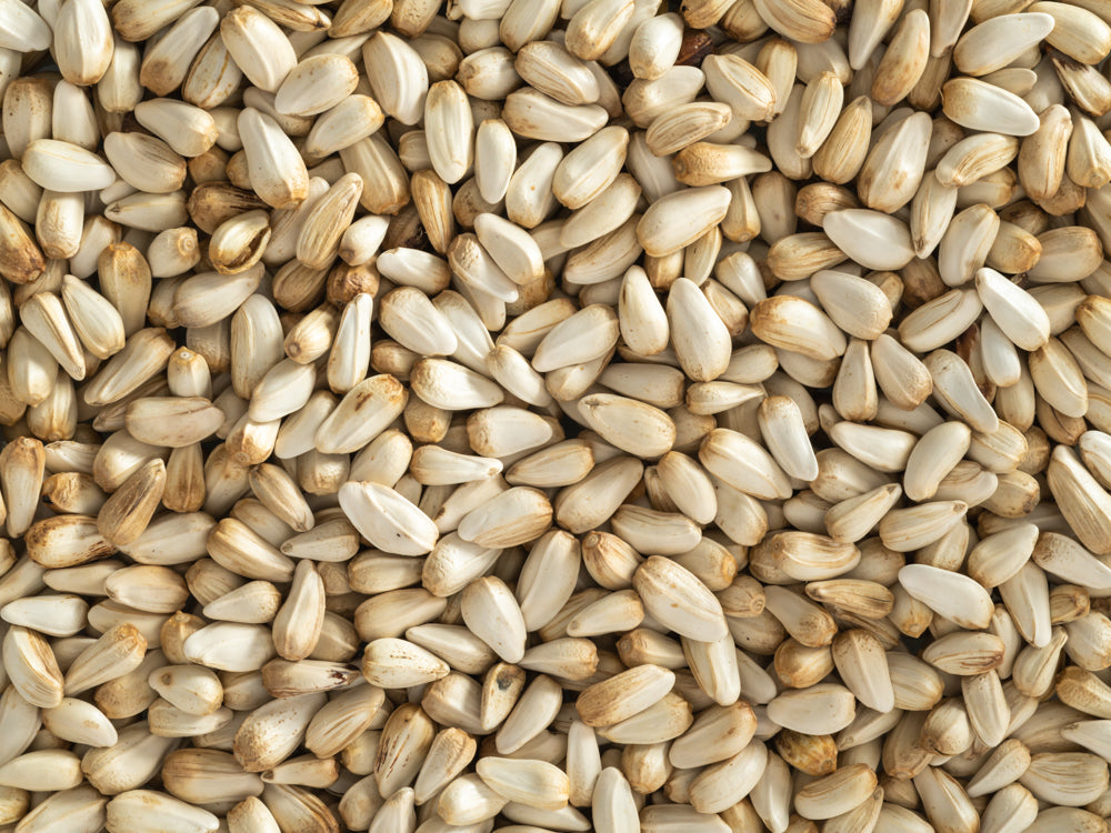 Topflite Safflower Seed 20kg – Wilderness Woodend