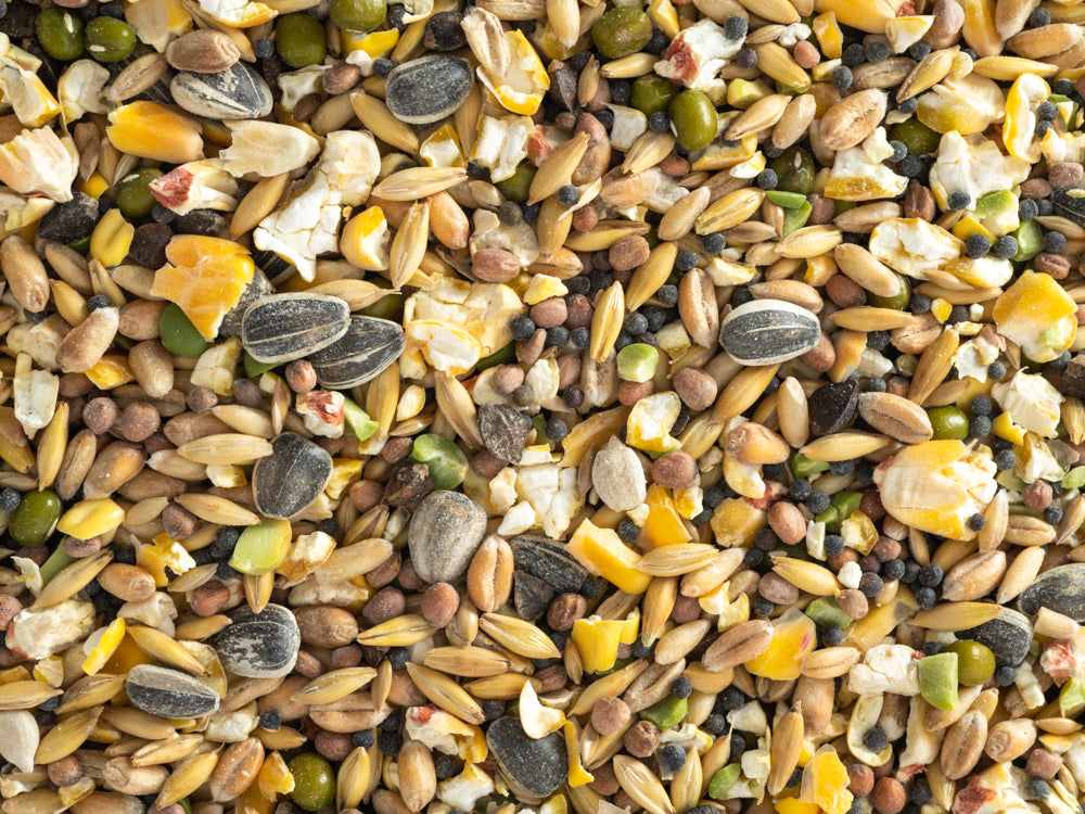 Topflite Soak and Sprout 5kg NZ | Sprouting Seed Mix for Birds ...